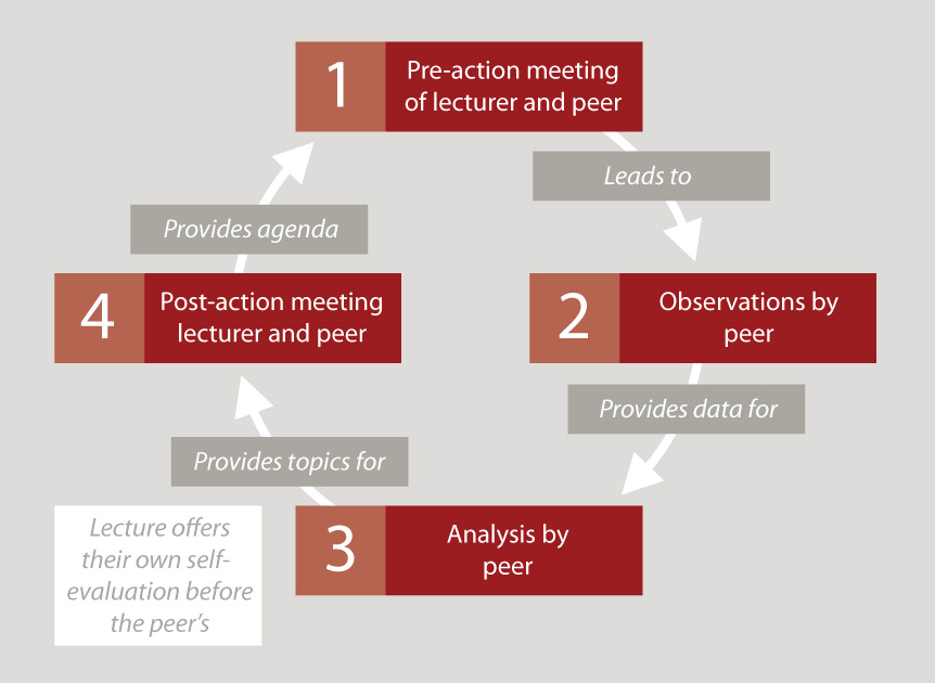 Holmes Institute: /Schools & Faculties /Higher Education /Teaching ...